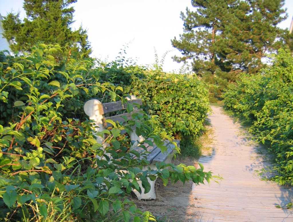 Beach ROW with Bench – The Town of Seabrook, NH